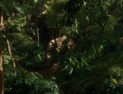 Unimatrix Zero | Memory Alpha | Fandom