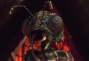 Xindi-Insectoid | Memory Alpha | Fandom