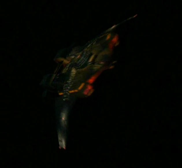 Annari warship (2372) | Memory Alpha | Fandom