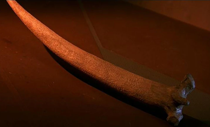 Cane | Memory Alpha | Fandom