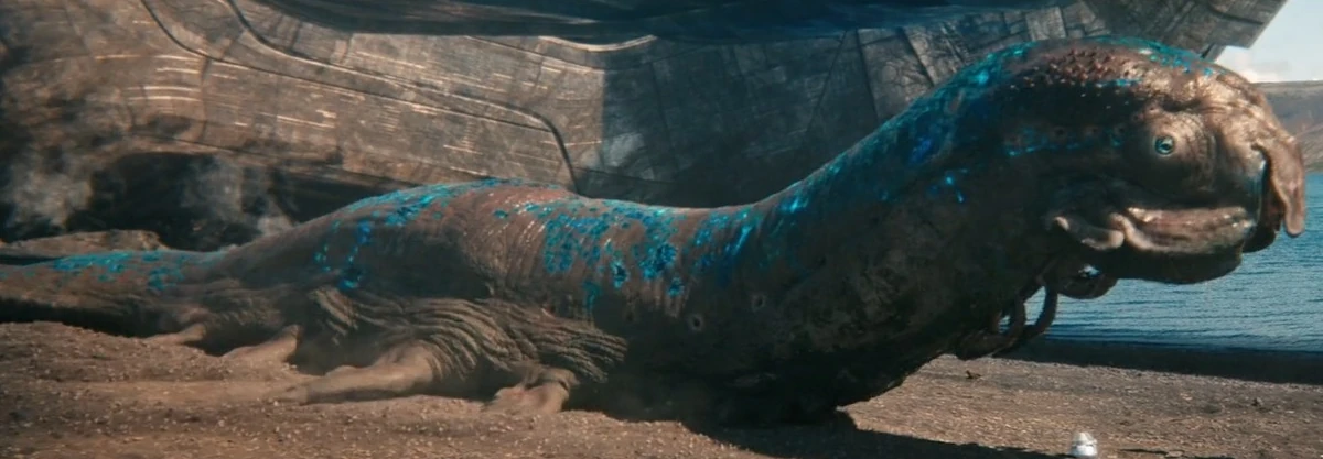 Molly (trance worm) | Memory Alpha | Fandom