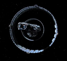 Pilgrim class (22nd century) | Memory Delta Wiki | Fandom