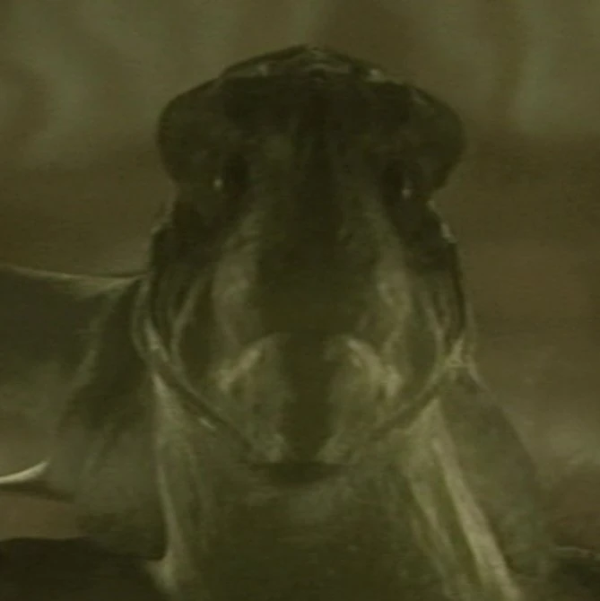 Xindi | Memory Delta Wiki | Fandom