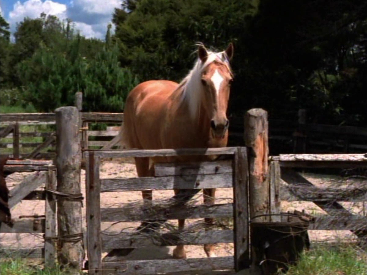 Argo II | Memory Delta Wiki | Fandom