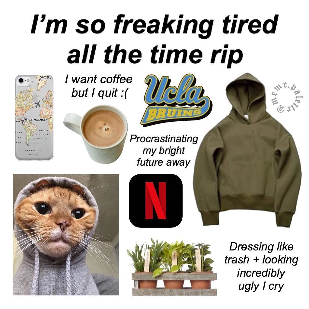 Niche memes | Мем вики | Fandom