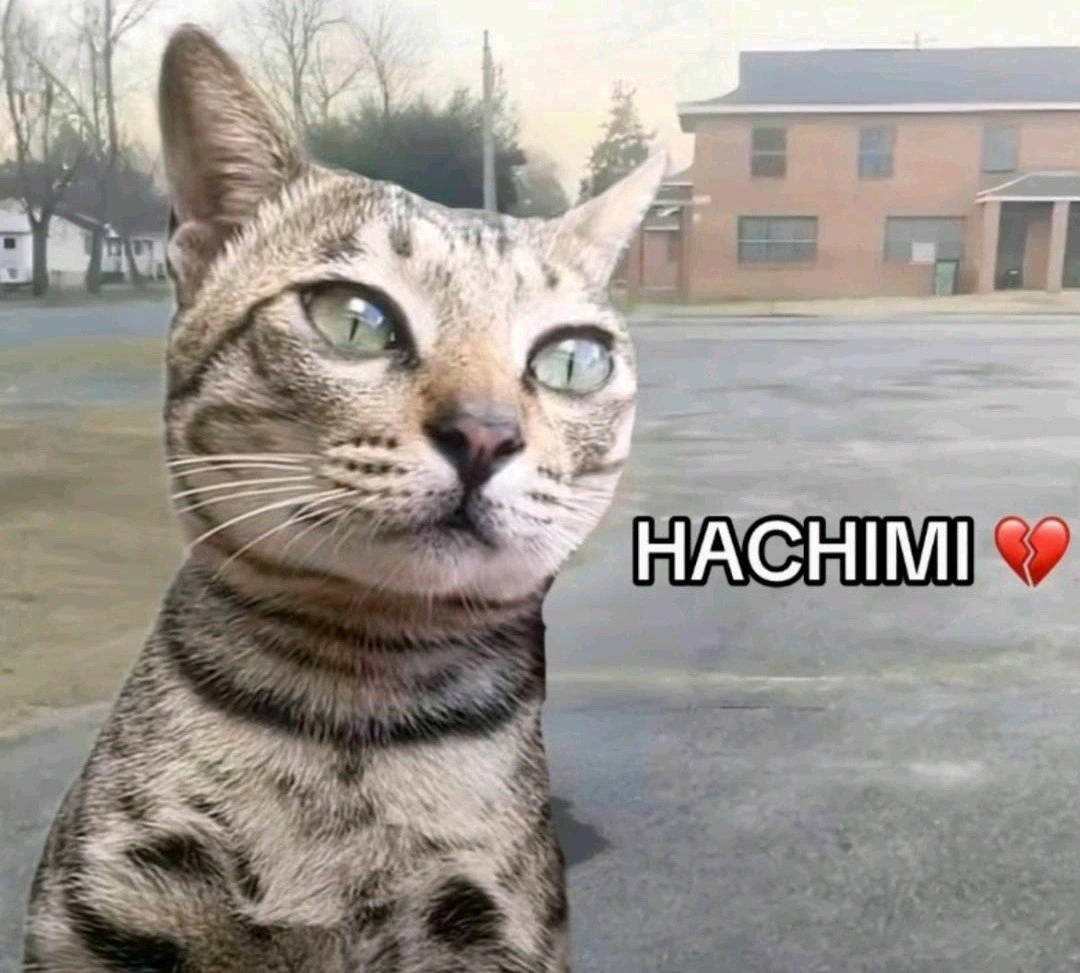 Hachimi | Мем вики | Fandom