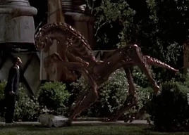 Bug | Men in Black Wiki | Fandom