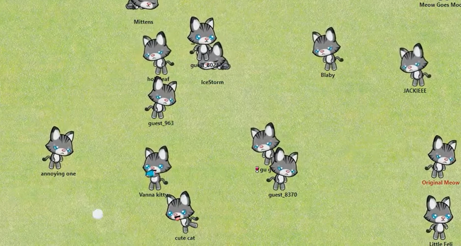 Discuss Everything About Meow Playground Wiki | Fandom