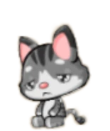 Meow Pet Menu | Meow Playground Wiki | Fandom