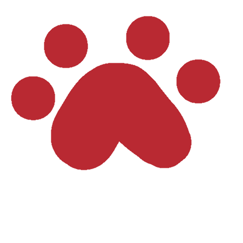 Promo codes that should work | Fandom