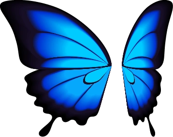 Zz_Legends_xX | Meow Playground Wiki | Fandom