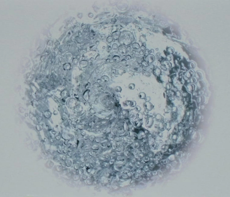 The Cycle | Meow Wolf Wiki | Fandom