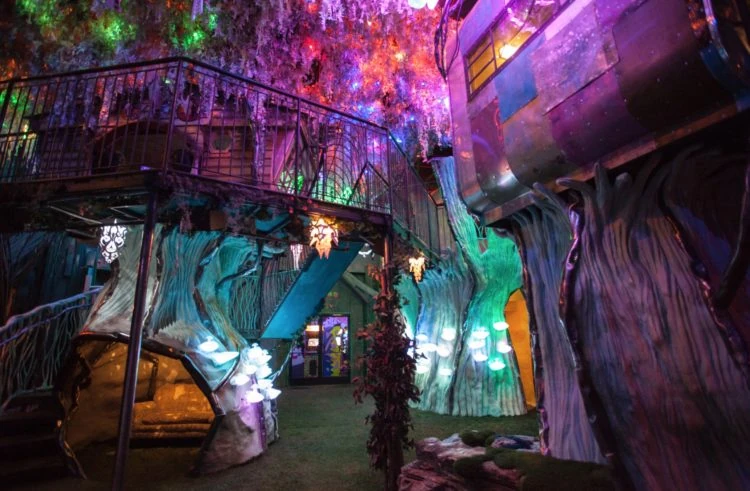 The Forest (HOER) | Meow Wolf Wiki | Fandom