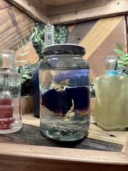 Happy Garry | Meow Wolf Wiki | Fandom