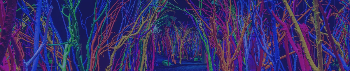 Cecelia's Source Trip Flowchart | Meow Wolf Wiki | Fandom