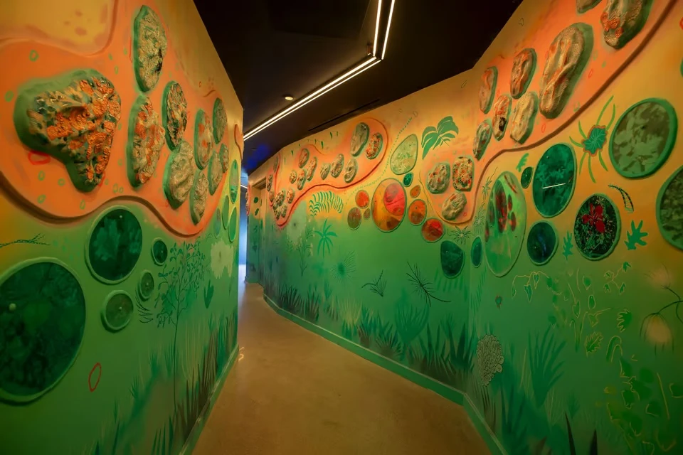 The Abandoned Garden | Meow Wolf Wiki | Fandom