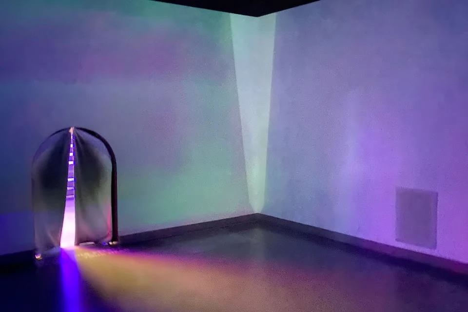 Strobe Room | Meow Wolf Wiki | Fandom