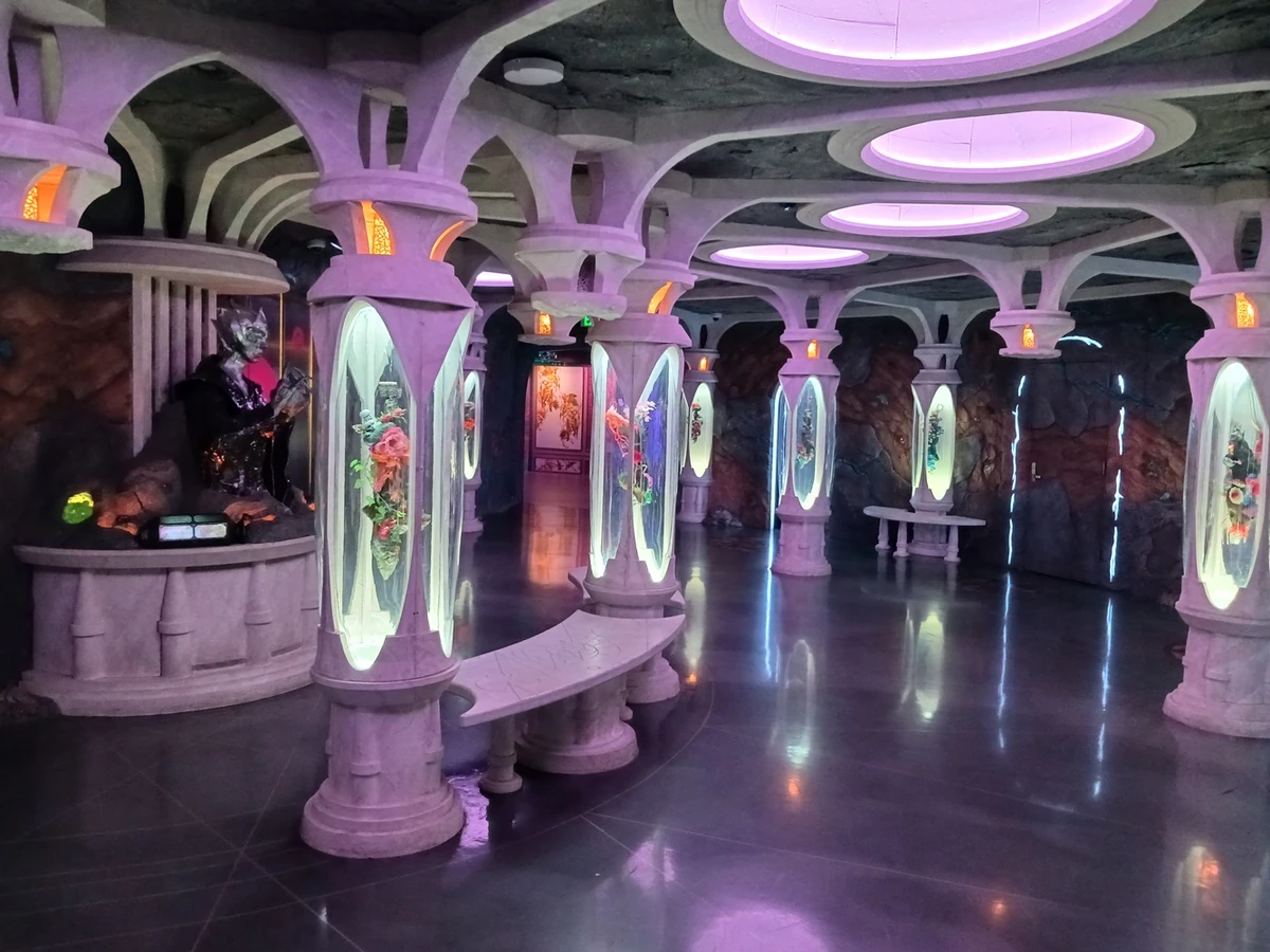 Lyra's Keep | Meow Wolf Wiki | Fandom