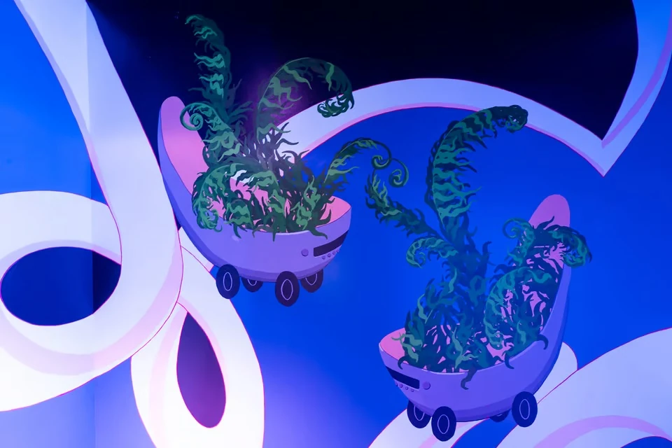 A Frondly Greeting | Meow Wolf Wiki | Fandom