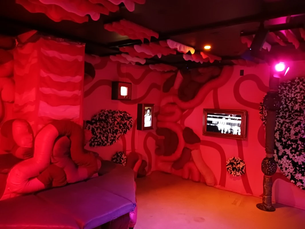 Ruptured Time | Meow Wolf Wiki | Fandom
