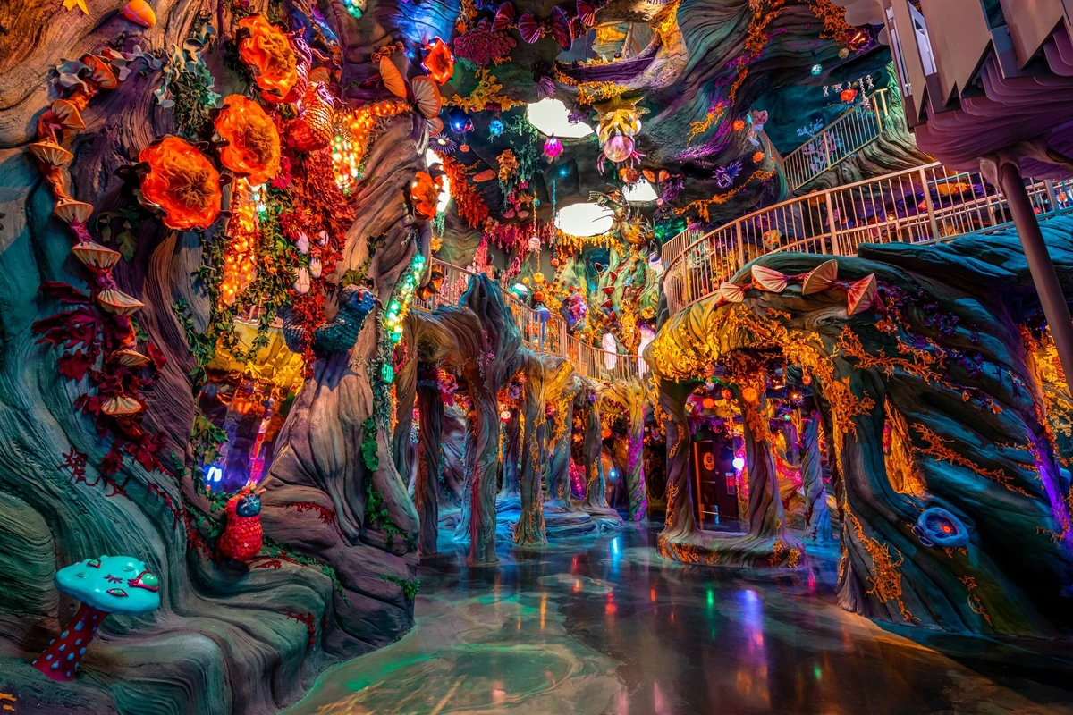 Numina | Meow Wolf Wiki | Fandom