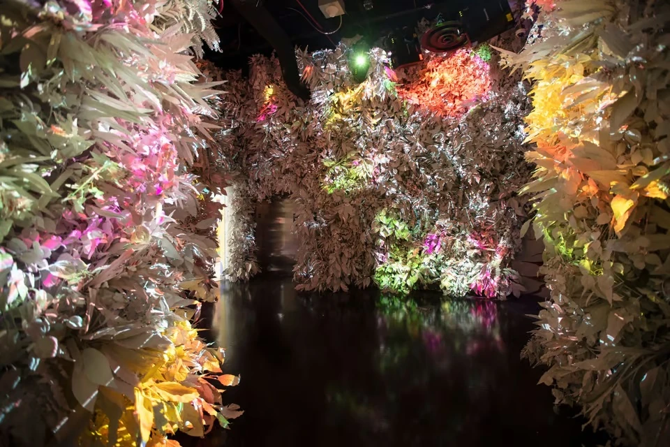 Dream Jungle | Meow Wolf Wiki | Fandom