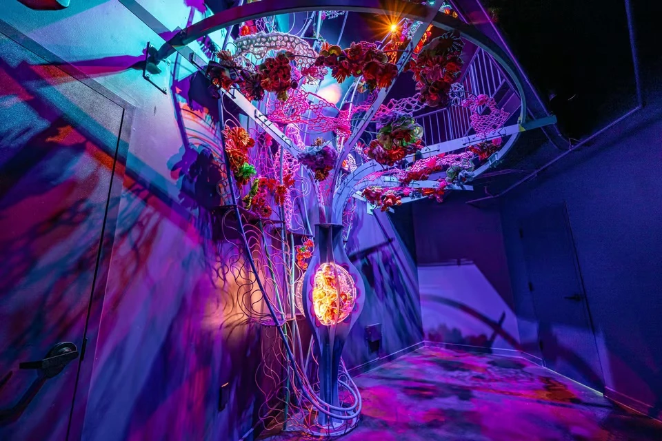 It Aeon Happening | Meow Wolf Wiki | Fandom