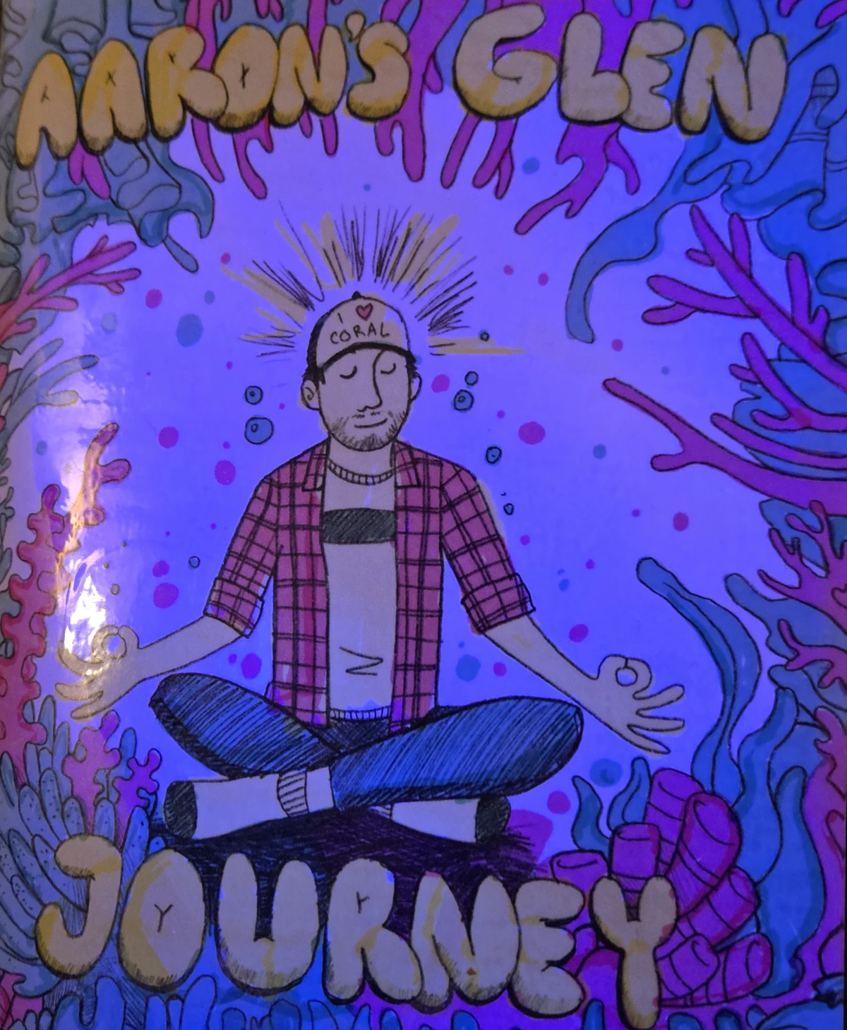 Aaron's Glen Journey (book) | Meow Wolf Wiki | Fandom