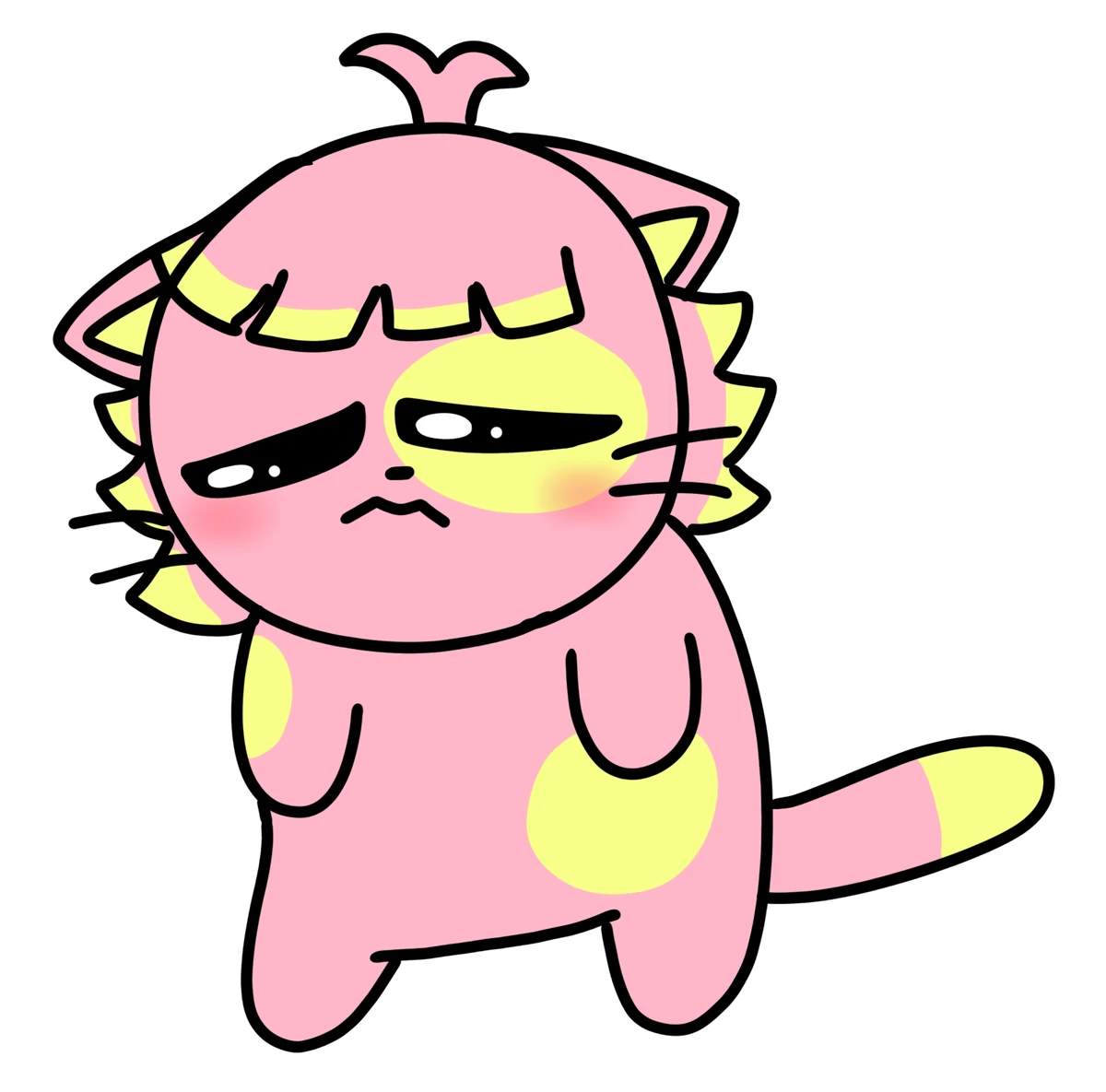 Coco The Cat | Meowtopia Wiki | Fandom