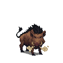 Boar | Merchant: Guilds Wiki | Fandom