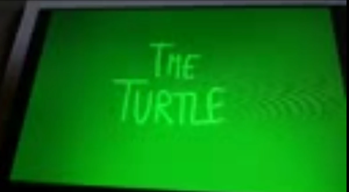 The Turtle | Mercy's Meeting Wiki | Fandom