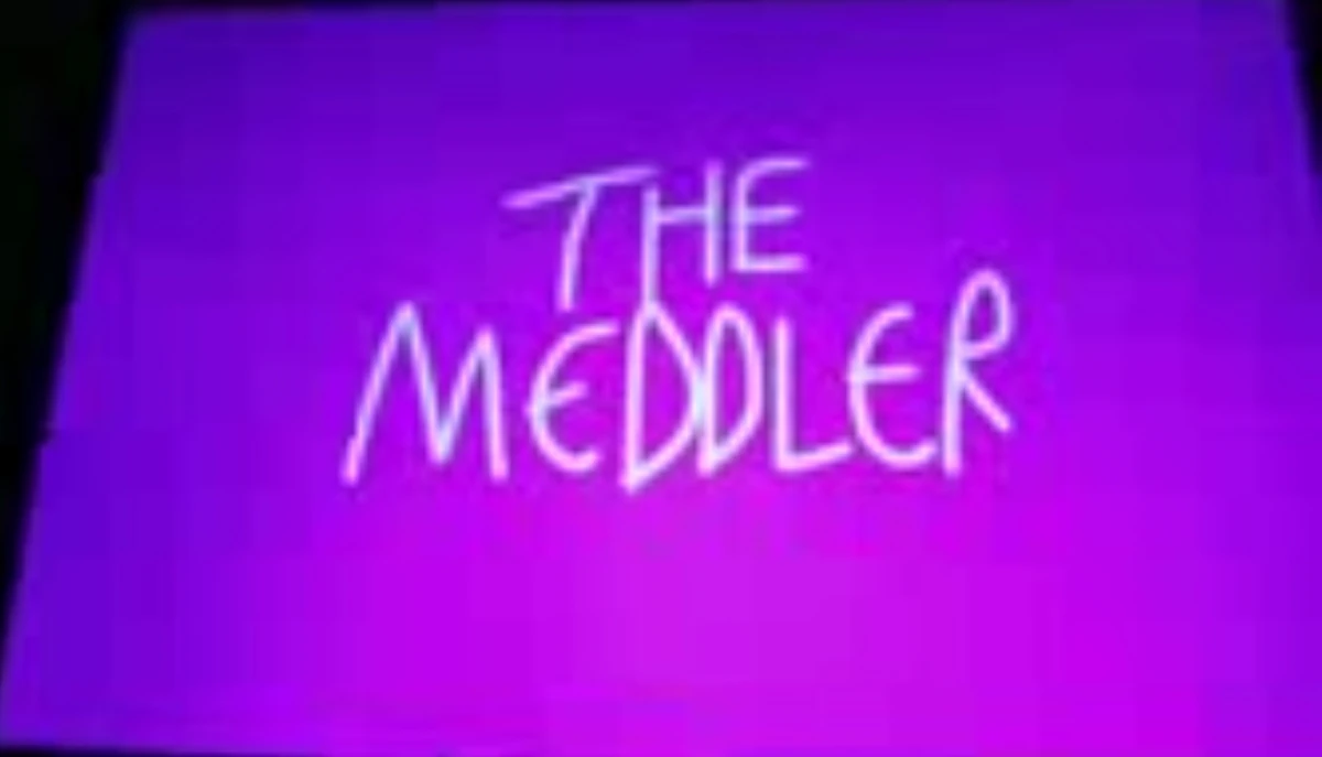 The Meddler | Mercy's Meeting Wiki | Fandom