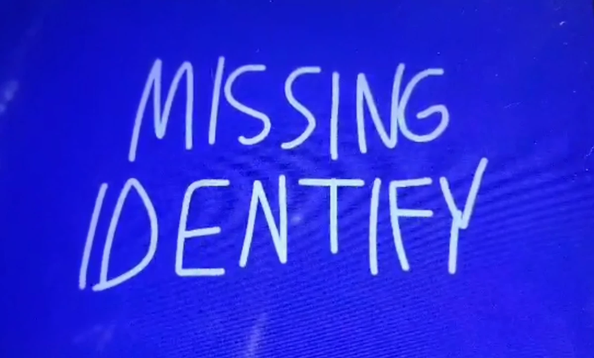 Missing Identity | Mercy's Meeting Wiki | Fandom
