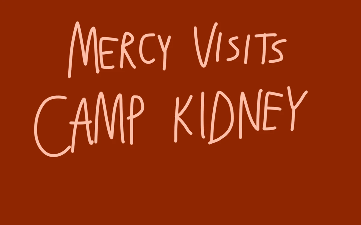 Mercy visits Camp Kidney | Mercy's Meeting Wiki | Fandom