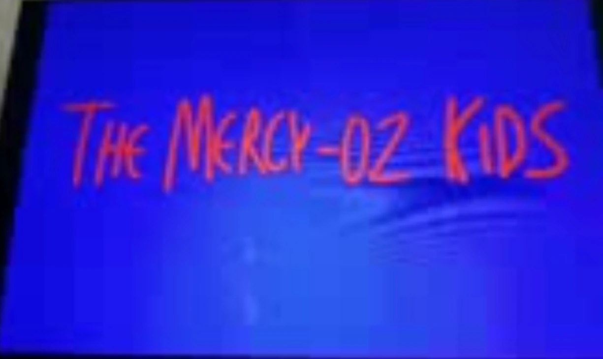 Discuss Everything About Mercy's Meeting Wiki | Fandom
