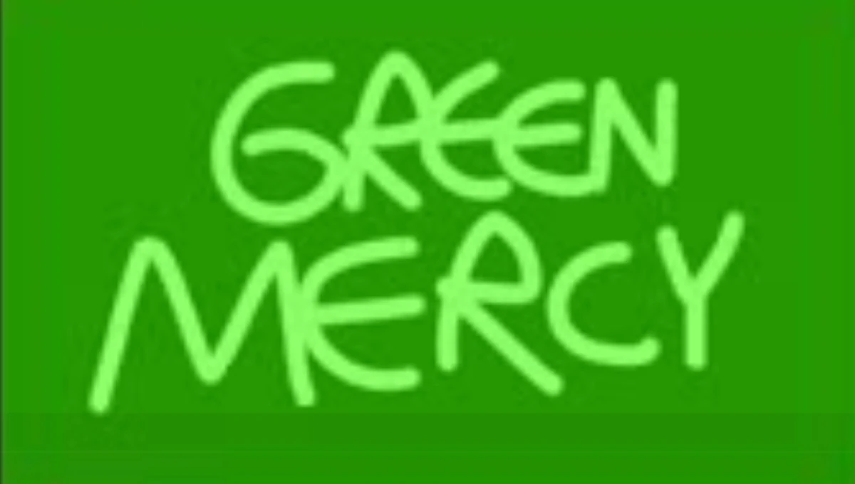 Green Mercy | Mercy's Meeting Wiki | Fandom