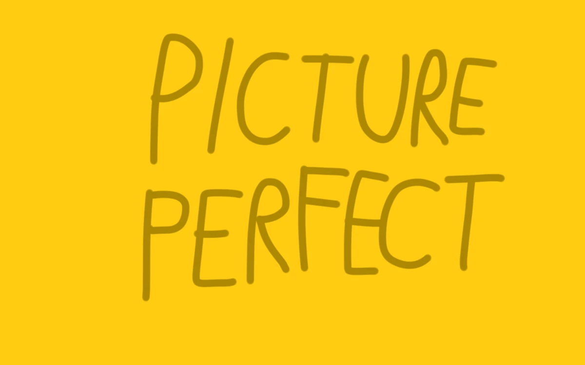 Picture Perfect | Mercy's Meeting Wiki | Fandom