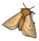 Moth | Merge Mansion Wiki | Fandom