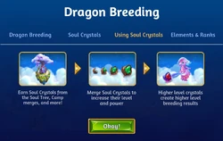 Dragon Breeding | Merge Dragons Wiki | Fandom