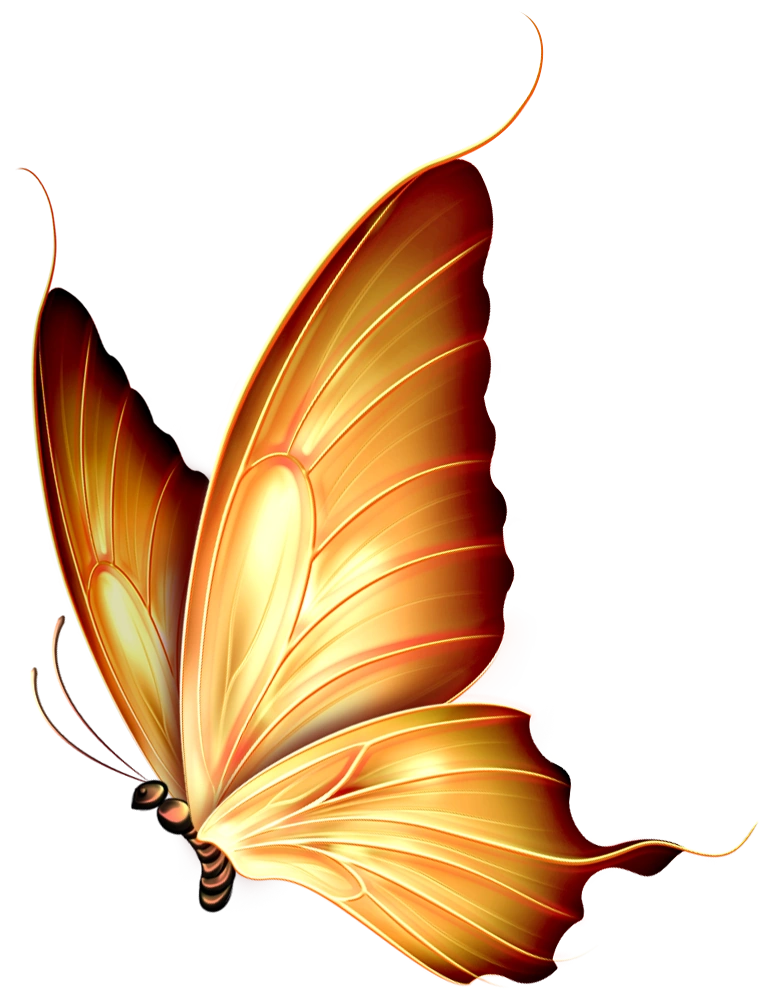 Grassy Plain Realm | Mergical Wiki | Fandom