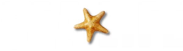 Sea Life | Merlin Entertainments Wiki | Fandom