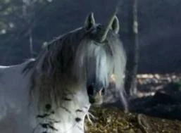 Unicorno | Merlin Wiki | Fandom