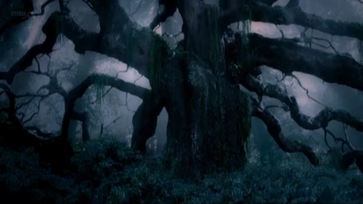 Dochraid's Dwelling | Merlin Wiki | Fandom