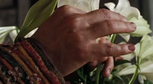 Transcript:A Remedy to Cure All Ills | Merlin Wiki | Fandom