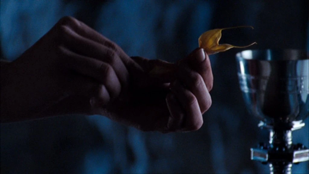 Mortaeus Flower Enchantment | Merlin Wiki | Fandom