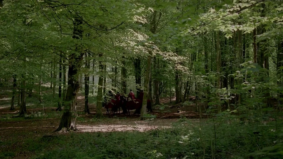 Forest of Brechfa | Merlin Wiki | Fandom
