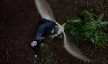 Series 4 | Merlin Wiki | Fandom