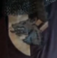 Crest | Merlin Wiki | Fandom