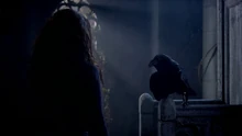 Raven | Merlin Wiki | Fandom