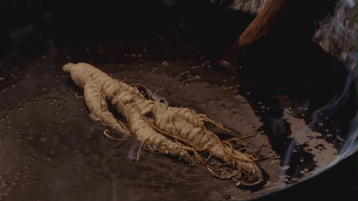 Mandrake Root | Merlin Wiki | Fandom